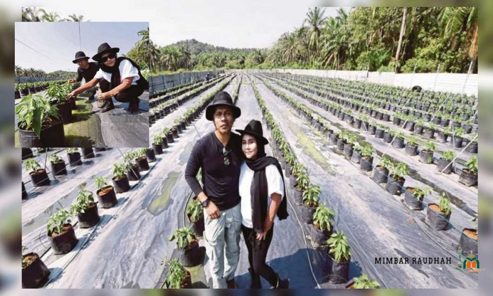 Cara Sukatan Bancuhan Simen Yang Betul Untuk Ikat Bata